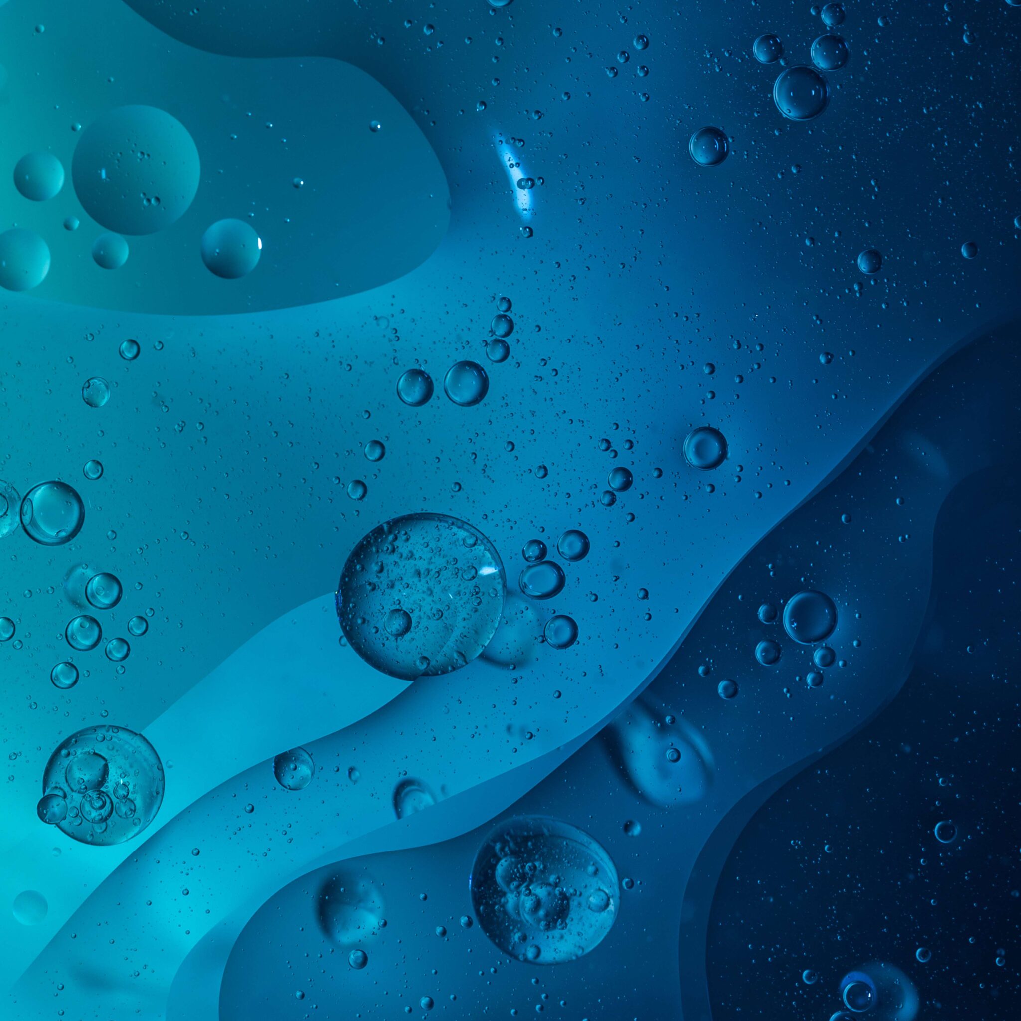 Activhealth Multibiotics Mind - Activhealth | 30 Years of Health and ...