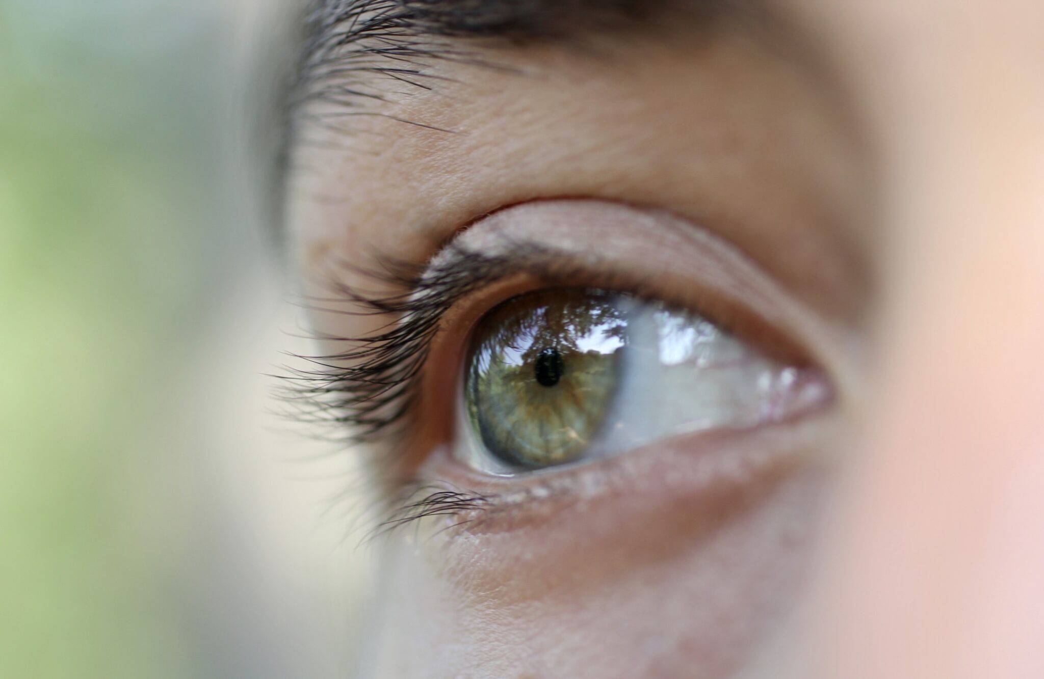 How the ingredients in Efalex Vision can help combat AMD & cataract ...